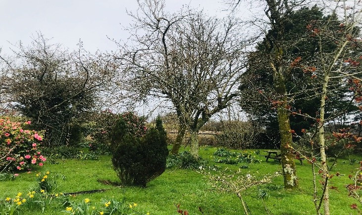 Spring Is Upon Us - Trimstone Manor